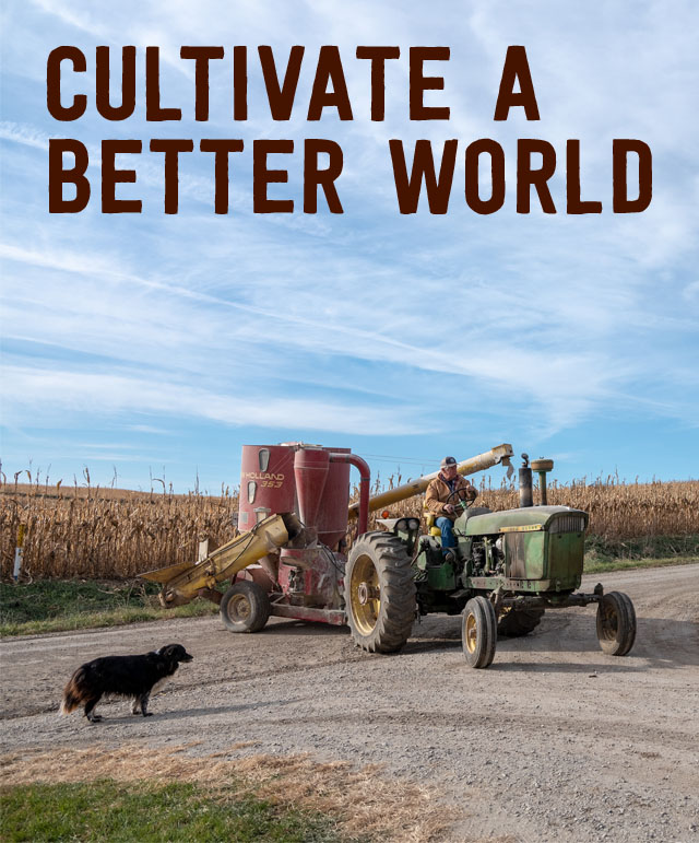 Sustainability At Chipotle